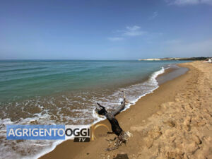 torre-salsa - AgrigentoOggi