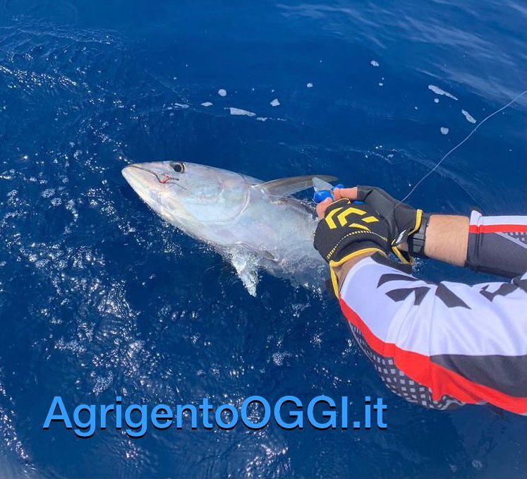 Arriva ad Agrigento la nuova frontiera della pesca: tonni lasciati ...